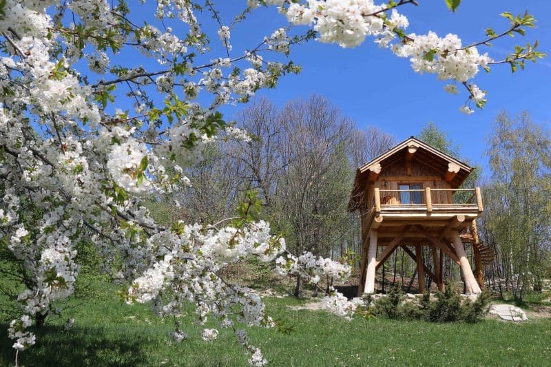 Italian Elevated Cabins - Artisan Custom Log Homes