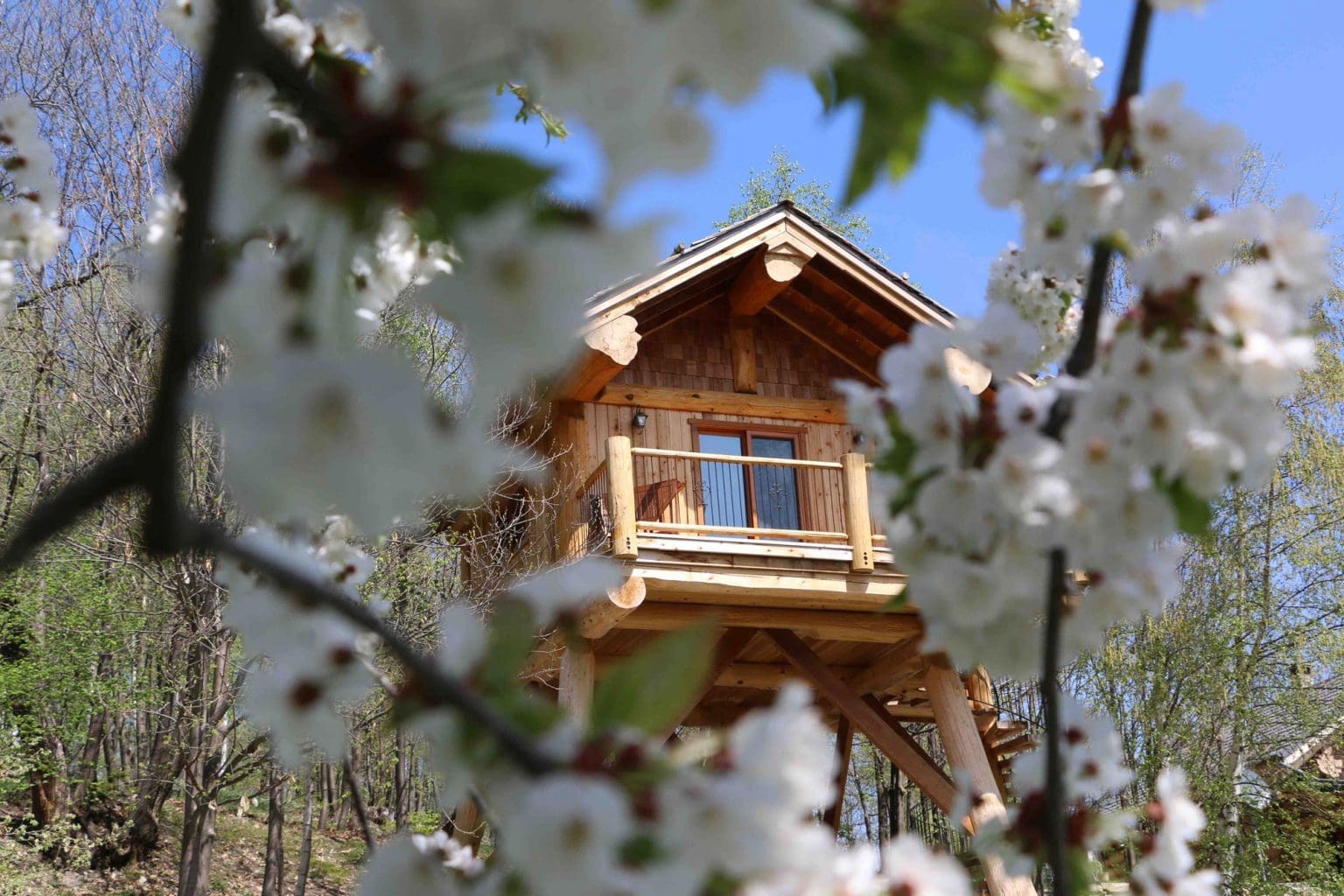 Italian Elevated Cabins - Artisan Custom Log Homes