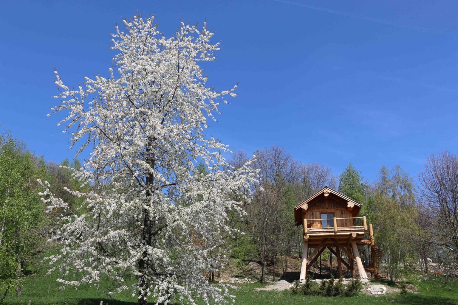 Italian Elevated Cabins - Artisan Custom Log Homes