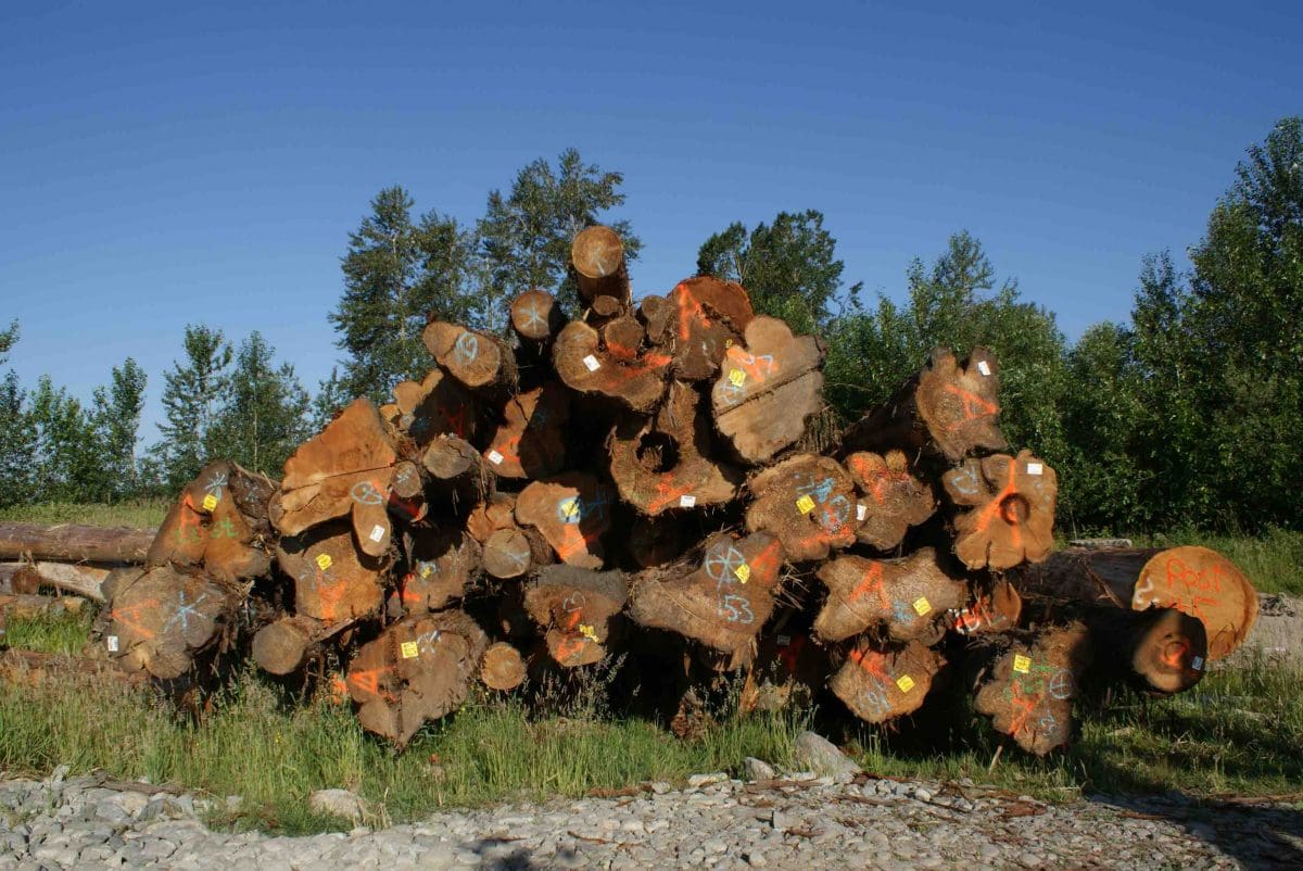 Protecting your home from dry rot | Handcrafted Canadian Log Home Builders